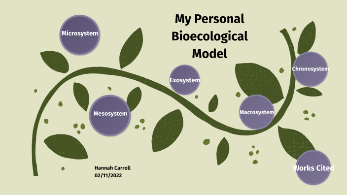 Bioecological model by Hannah Carroll on Prezi
