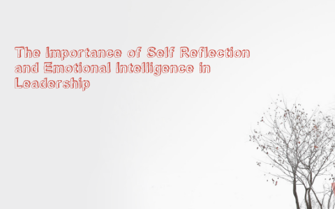 The Importance of Self-Reflection in Leadership by Katherine Ritchie on ...