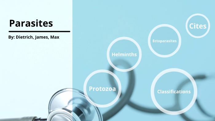 Parasite presentation by on Prezi