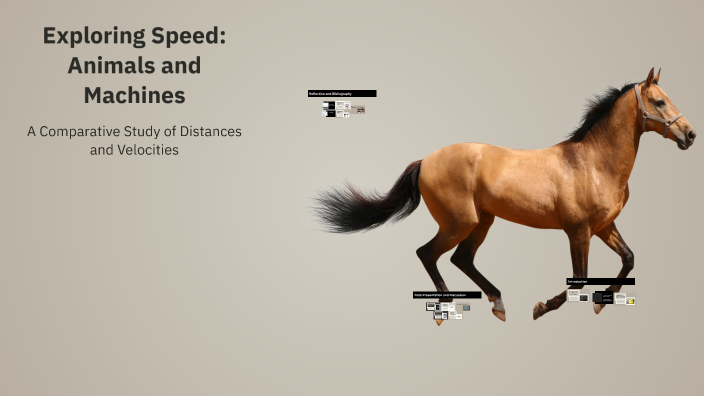 Exploring Speed: Animals and Machines by jq dsuh on Prezi