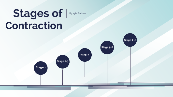Stages of Contraction by Kyle Barbera on Prezi