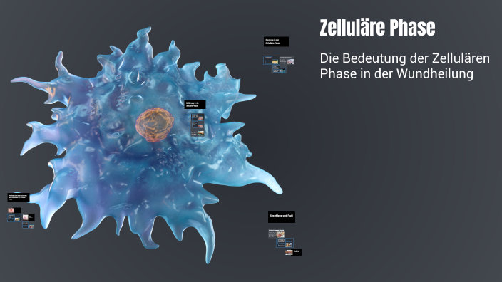 Zelluläre Phase by Alexis Trataris on Prezi