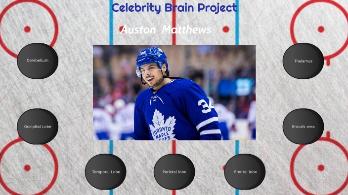 Celebrity Brain Project by Dean Bottis on Prezi