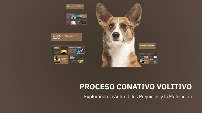 PROCESO CONATIVO VOLITIVO by YARITZA GONZALES BENITES on Prezi