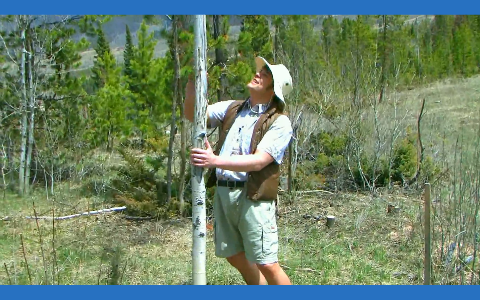 Lenny Pepperbottom's Exploration of Cacti Distribution by Eric Larsen ...