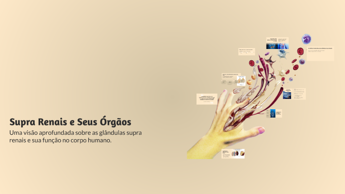 Supra Renais e Seus Órgãos by Matheus Umbelino on Prezi