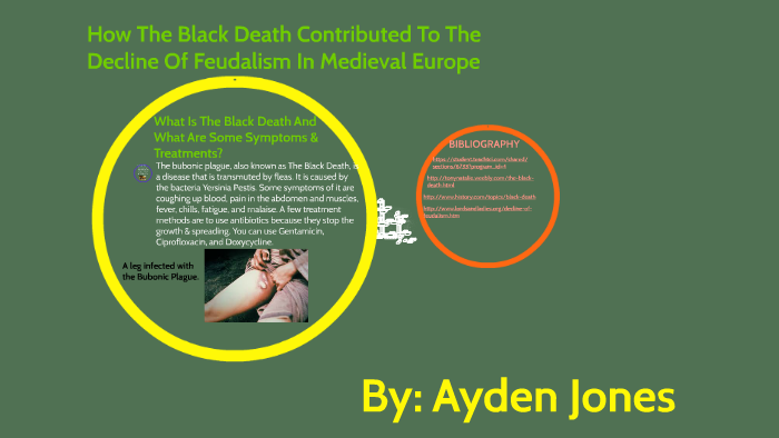 How The Black Death Contributed To The Decline Of Feudalism by Ayden ...