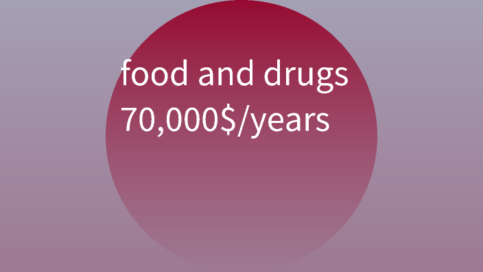 business plan by amin asgari on Prezi