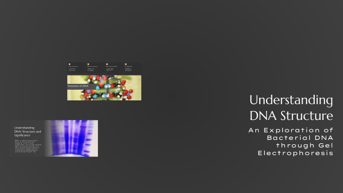 Understanding DNA Structure by vanishree mittal on Prezi