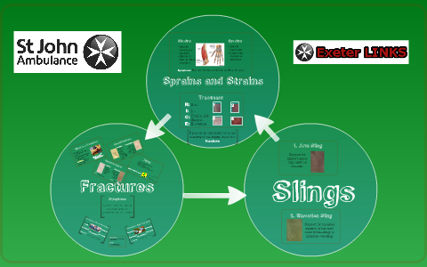 Sprains, Strains, Fractures and Slings by Hayley Bendle on Prezi