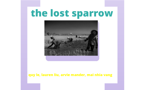 The Lost Sparrow - Kien Nguyen by Lauren Liu on Prezi