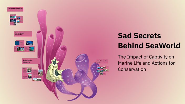 Sad Secrets Behind SeaWorld by aina insyirah on Prezi