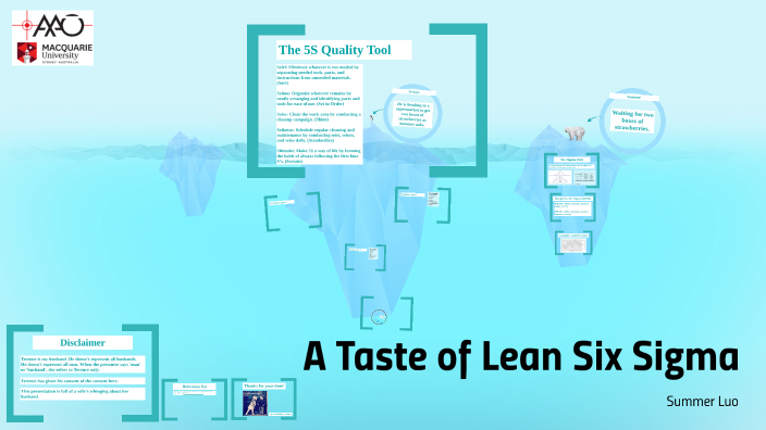 A Taste of Lean Six Sigma by Summer Luo on Prezi