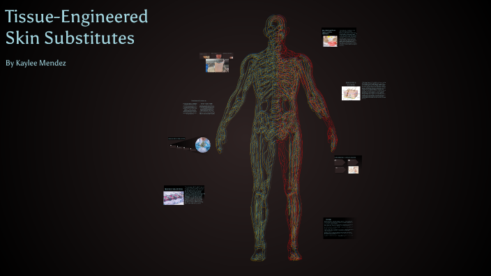 Tissue-Engineered Skin Substitutes: Challenges and Innovations by ...