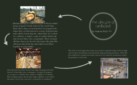 The Life Cycle of Cardboard by anthony blajic on Prezi
