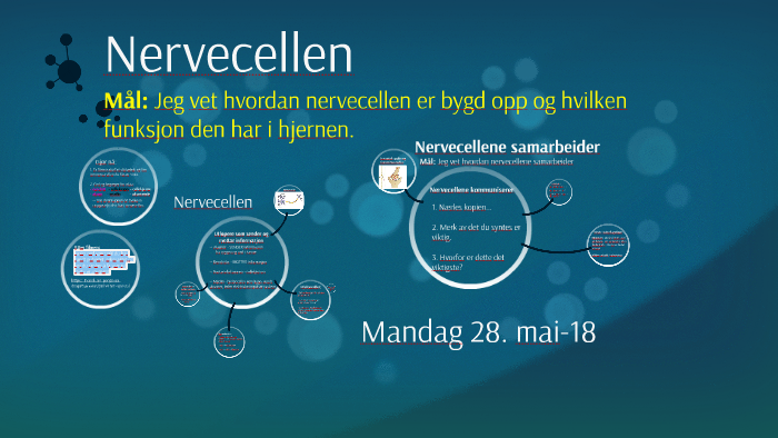 Nervecellen by Hilde Sollie on Prezi