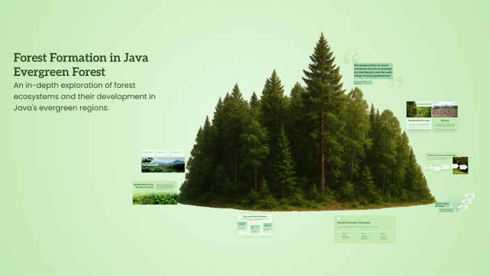 Forest Formation in Java Evergreen Forest by Anil Kadam on Prezi