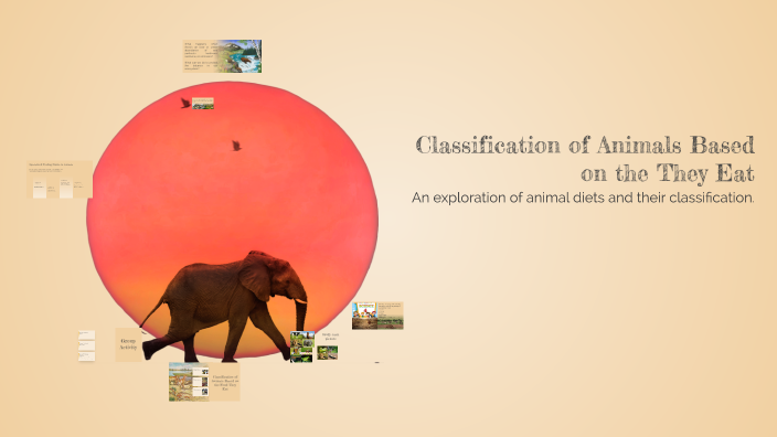 Classification of Animals Based on Their Diet by Monalee Yance on Prezi