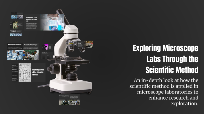Exploring Microscope Labs Through the Scientific Method by Ernalyn ...