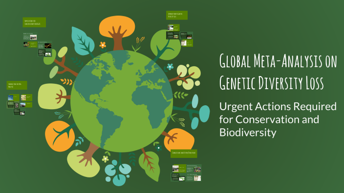 Global Meta-Analysis on Genetic Diversity Loss by Jacek Surzyn on Prezi