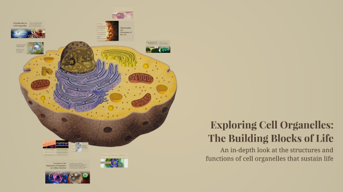 Exploring Cell Organelles: The Building Blocks of Life by Luke Shermer ...