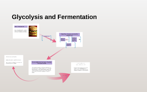 Glycolysis and Fermentation by on Prezi