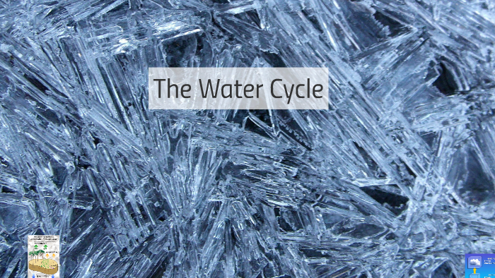 The Water Cycle By Paul Ronevich