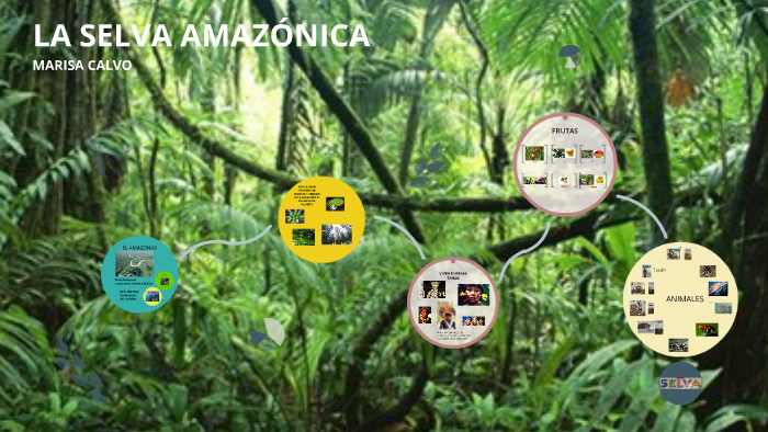 LA SELVA AMAZÓNICA by marisa calvo on Prezi