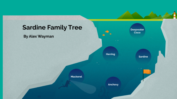 Sardine Family Tree by Alex Wayman on Prezi