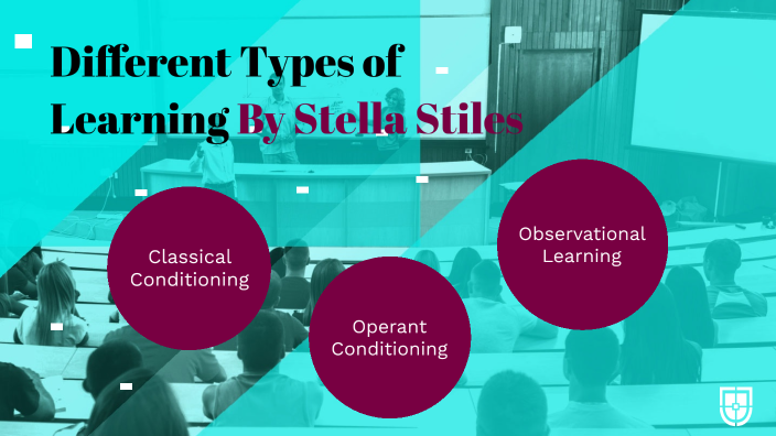 Different Types of Learning by Stella Stiles on Prezi