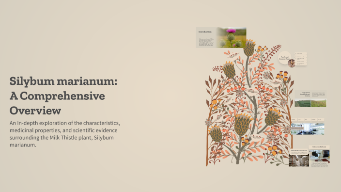 Silybum marianum: A Comprehensive Overview by manel Saadi on Prezi