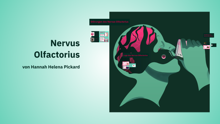 Nervus Olfactorius by Helena _ on Prezi