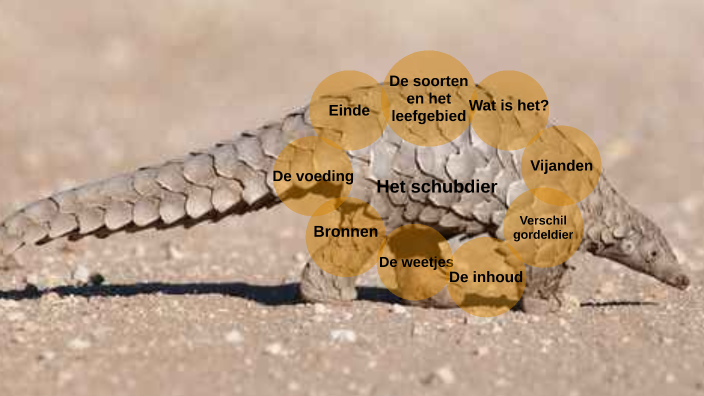 Het Schubdier by August Colpaert on Prezi