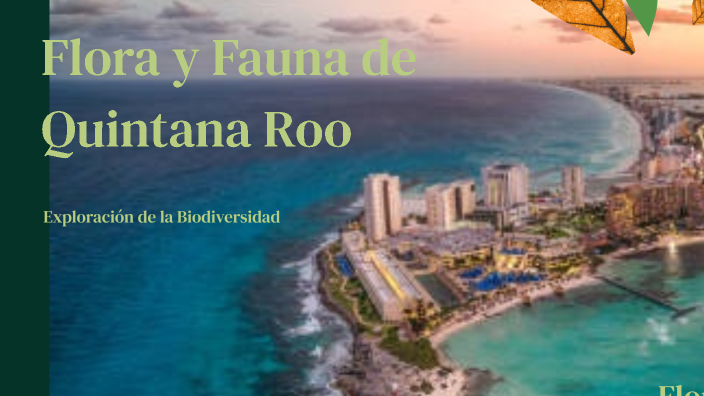 Flora y Fauna de Quintana Roo by Erik Damian Gutierrez Antonio on Prezi