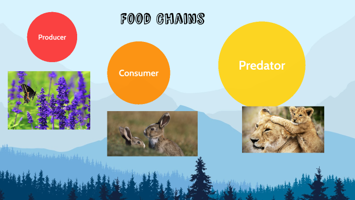 Food Chain Presentation by Aishmiken Sathiyaruben on Prezi