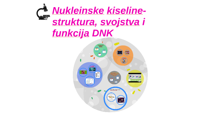 Nukleinske kiseline- struktura, svojstva i funkcija DNK by on Prezi