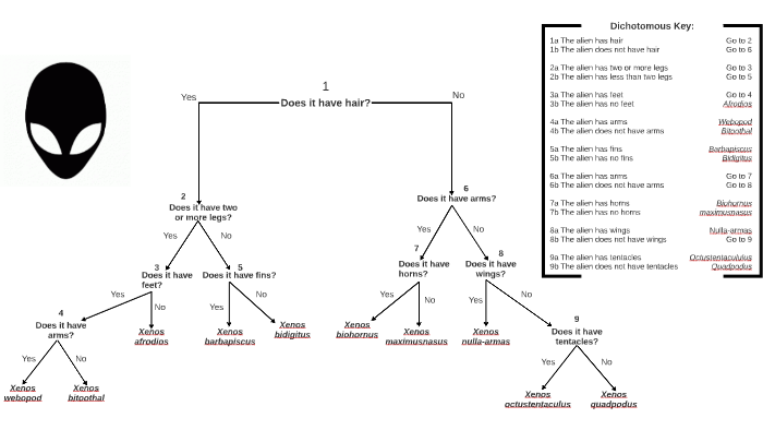 Bio Alien Spider Key by Raffi Fox on Prezi
