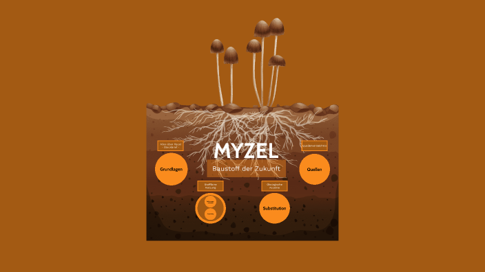 NWR Myzel by Radwan Sabri on Prezi