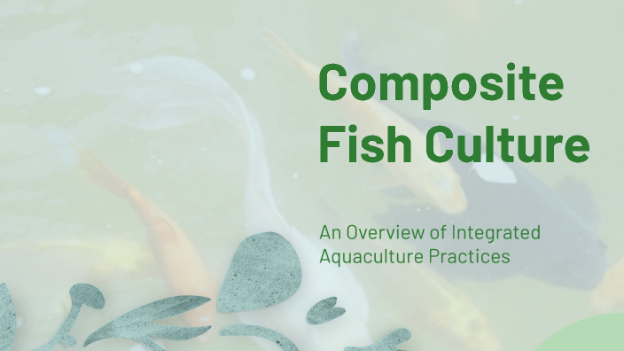 Composite Fish Culture by Bibhas Guha on Prezi