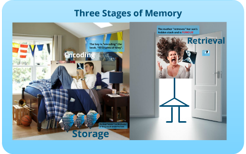The Three Stages of Memory Poster by Tony Fang on Prezi