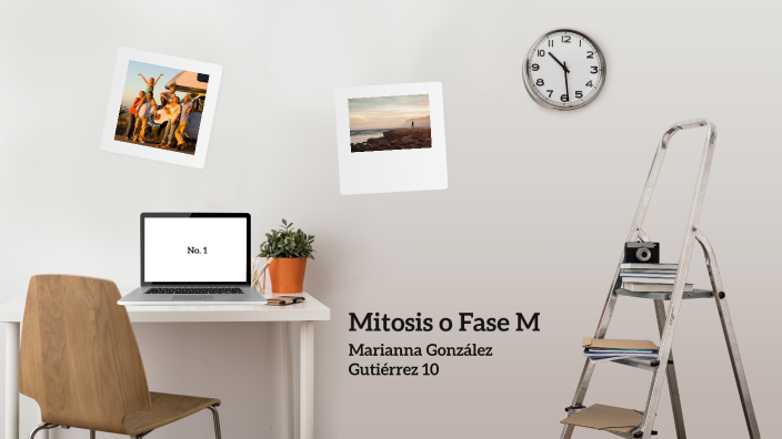 Fase M (ciclo celular) by Marianna ^3^ on Prezi