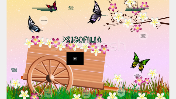 psicofilia by Damian saca on Prezi