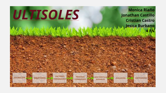 ORDEN ULTISOL by jesica Burbano on Prezi