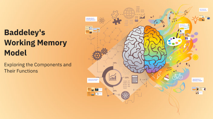 Baddeley's Working Memory Model by Abdullah Al Abdulaal on Prezi
