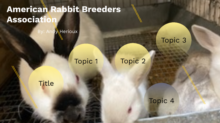 American Rabbit Breeder Association by Andrew Herioux on Prezi