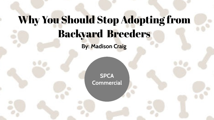Why You Should Stop Adopting from Backyard Breeders by madison craig on Prezi