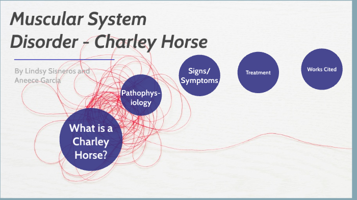 Muscular System Disorder - Charley Horse by Aneece Garcia on Prezi