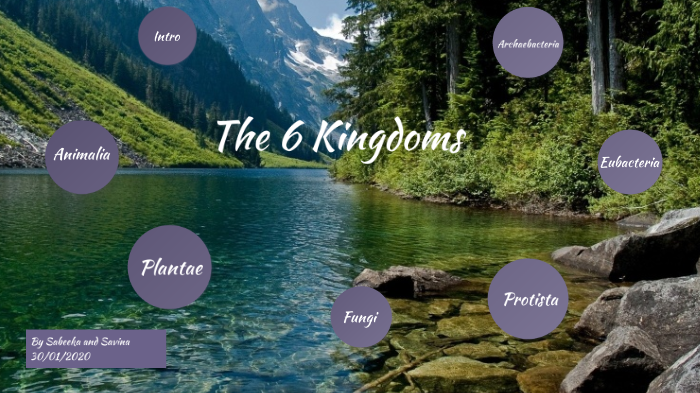 Biology 11/ 6 Kingdoms Project by Sabeeka Aziz on Prezi