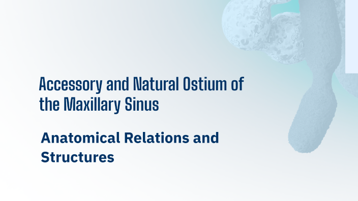 Accessory and Natural Ostium of the Maxillary Sinus inn cbct analysis ...
