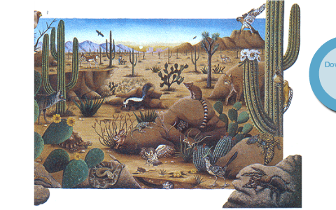 desierto matorral seco by xilena franco castro on Prezi